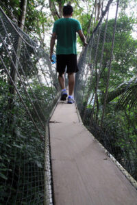 FRIM Canopy Walkway | Attractions | Wonderful Malaysia