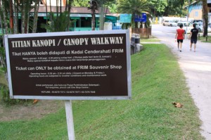 FRIM Canopy Walkway | Attractions | Wonderful Malaysia
