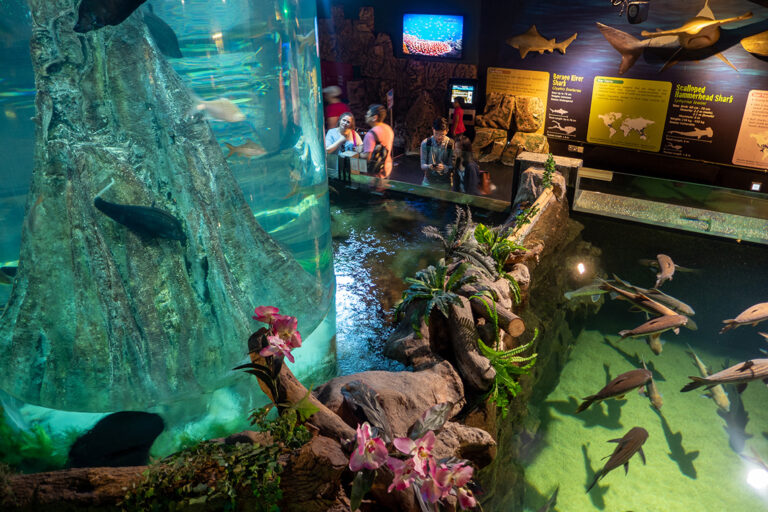 Aquaria KLCC | Attractions | Wonderful Malaysia