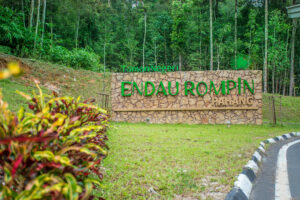 Rompin State Park@ Taman Negeri Rompin - Attractions | Attractions ...