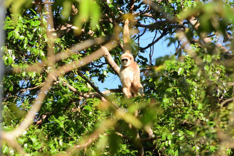 Rompin State Park@ Taman Negeri Rompin - Attractions | Attractions