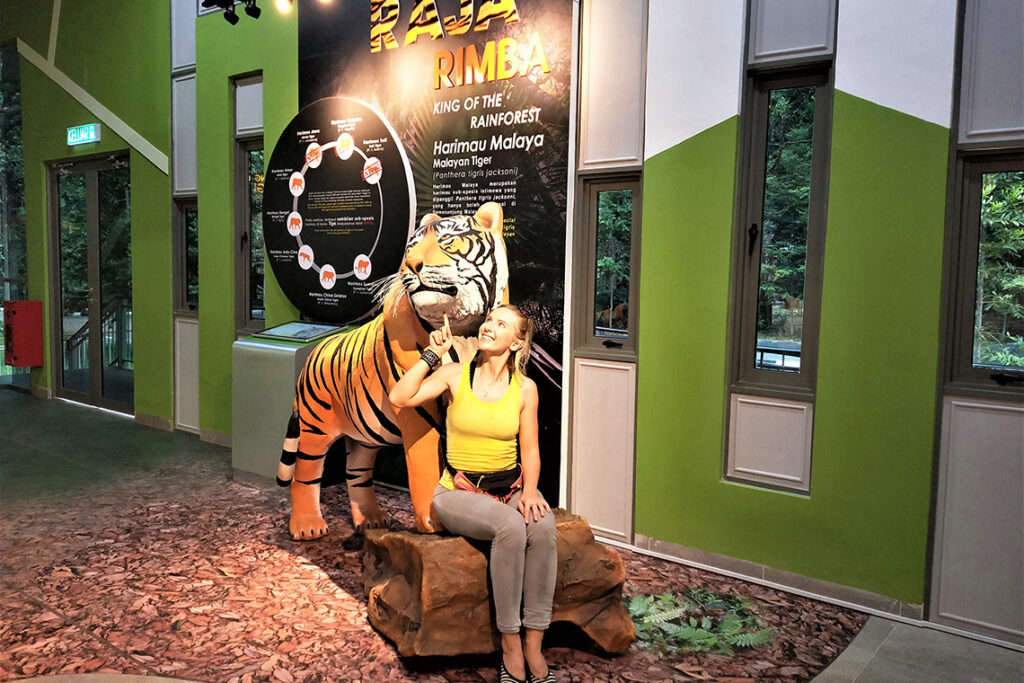 Rompin State Park@ Taman Negeri Rompin - Attractions | Attractions ...