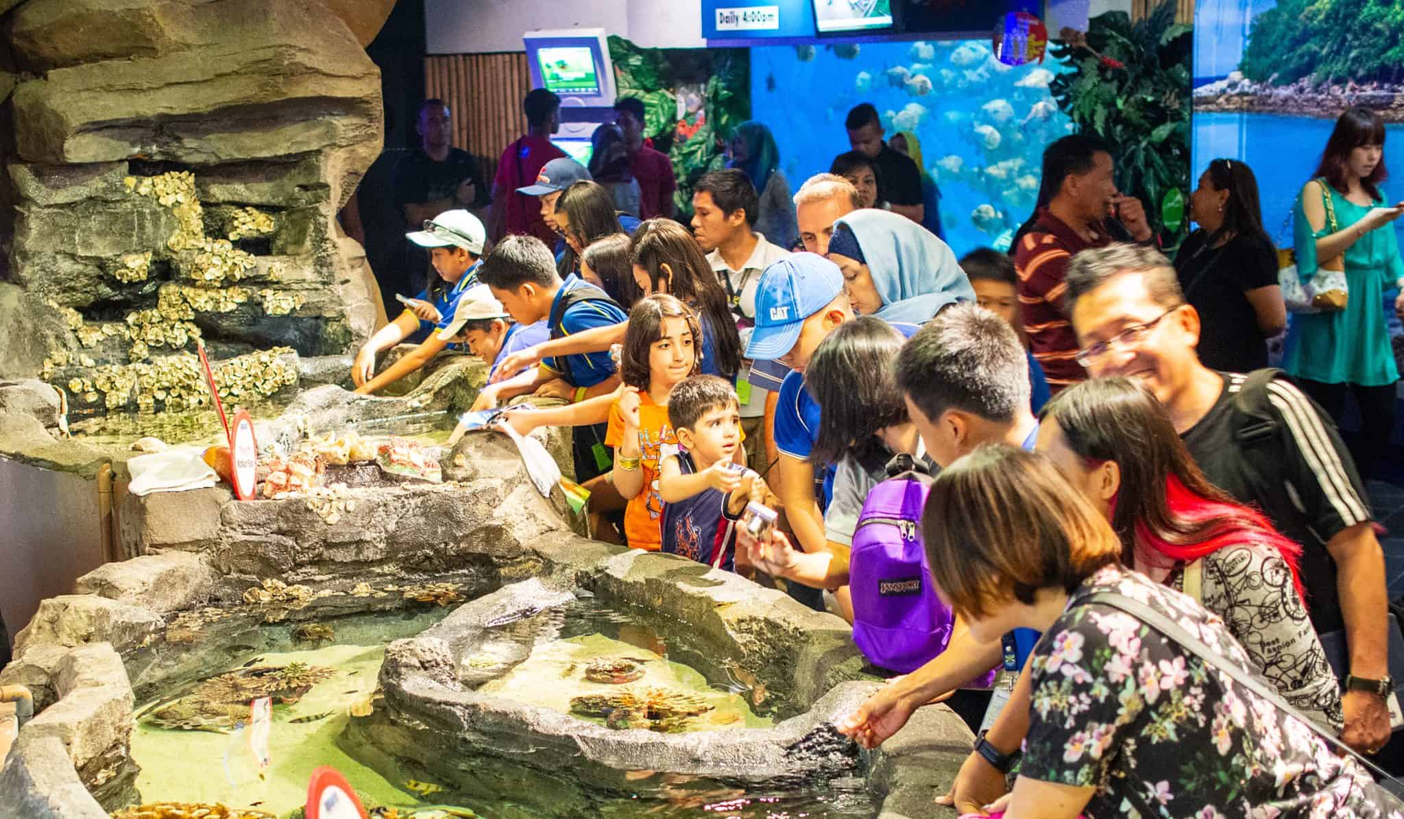 Malaysia Family Travel Guide: Best Attractions for Kids - Attractions ...